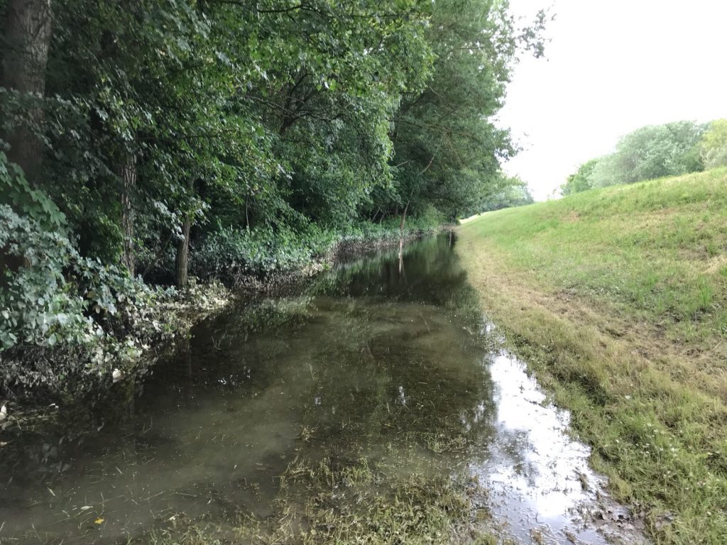 GEBL – Gelsenbekaempfung Leithaauen | Gelsenbekämpfung in den Leithaauen